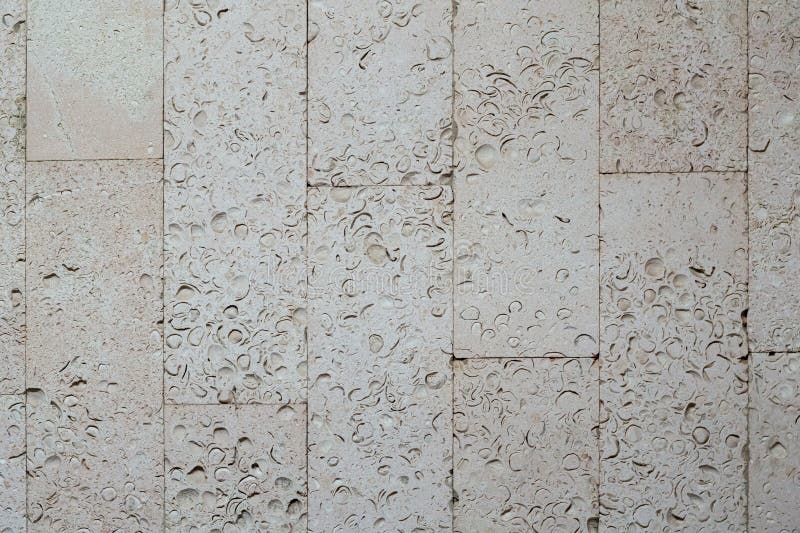 Textured Wall Lined with Shell Rock Tiles Stock Photo - Image of decor ...