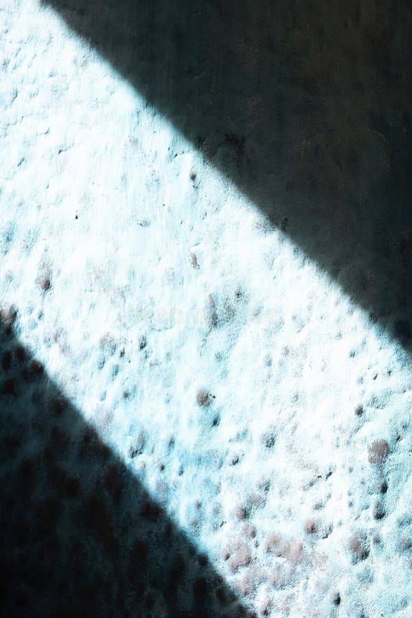 Papel Pared Pinos Stock Photos - Free & Royalty-Free Stock Photos from ...