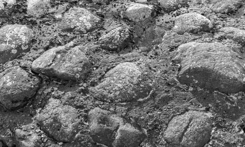 13,645 Texture Concrete Wall Stones Closeup Stock Photos - Free ...