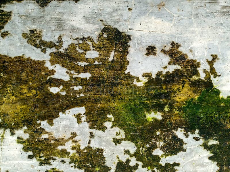 Textured Wall Surface with Moss in Roadside Stock Photo - Image of ...