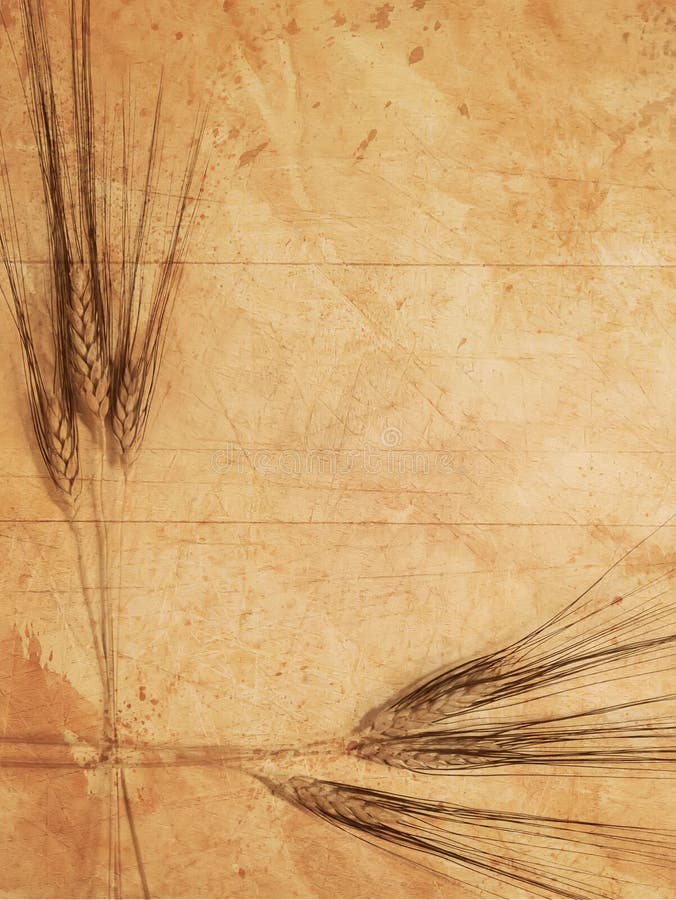 Textured wheat stock image. Image of grain, space, toned - 15889809