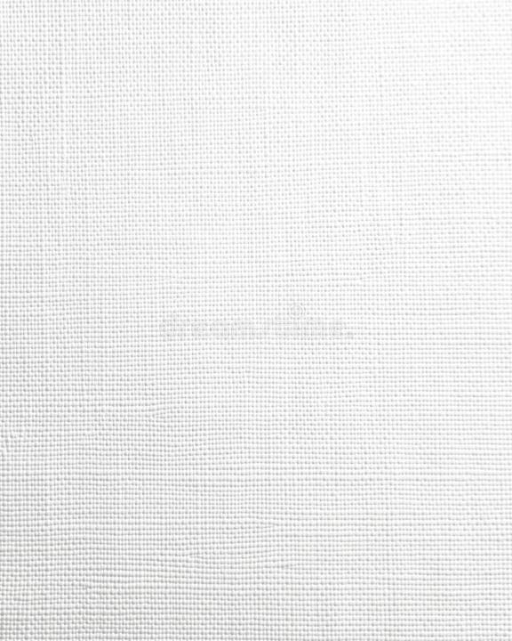 Textured White Canvas Surface with Subtle Grid Pattern for Artistic ...