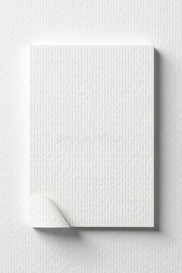 Textured White Cardboard, Ideal Packing Clean, Simple Background ...