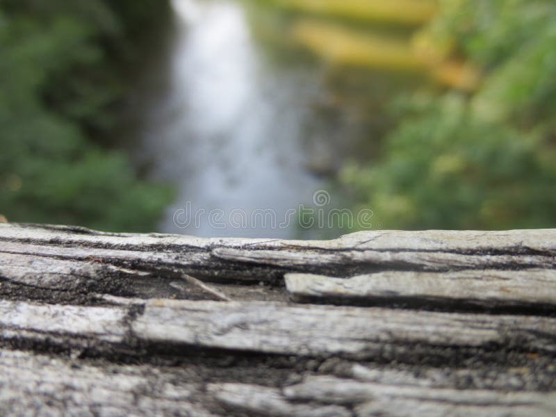 Textured Wood and Background Blur Stock Image - Image of diversity ...