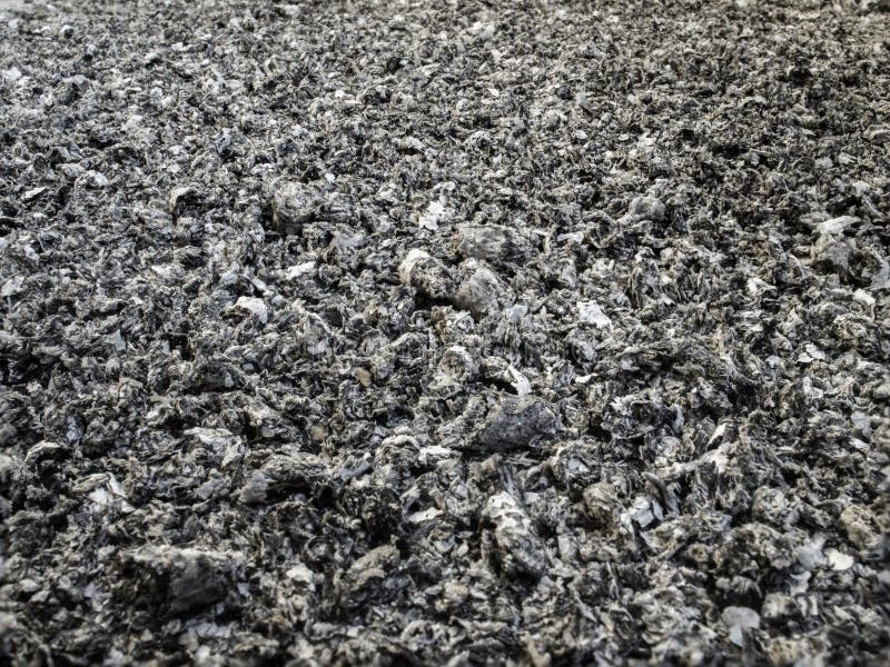 Ash of cigarettes texture stock photo. Image of closeup - 124581250