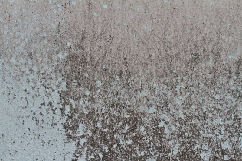 Textures and Color of Cement Wall Stock Photo - Image of scratched ...