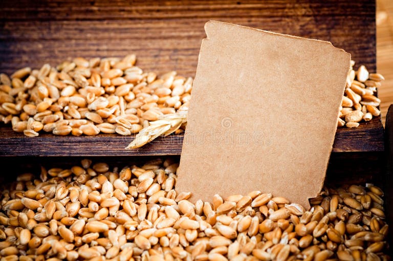 Textures de blé image stock. Image du sain, texture, blanc - 12154753