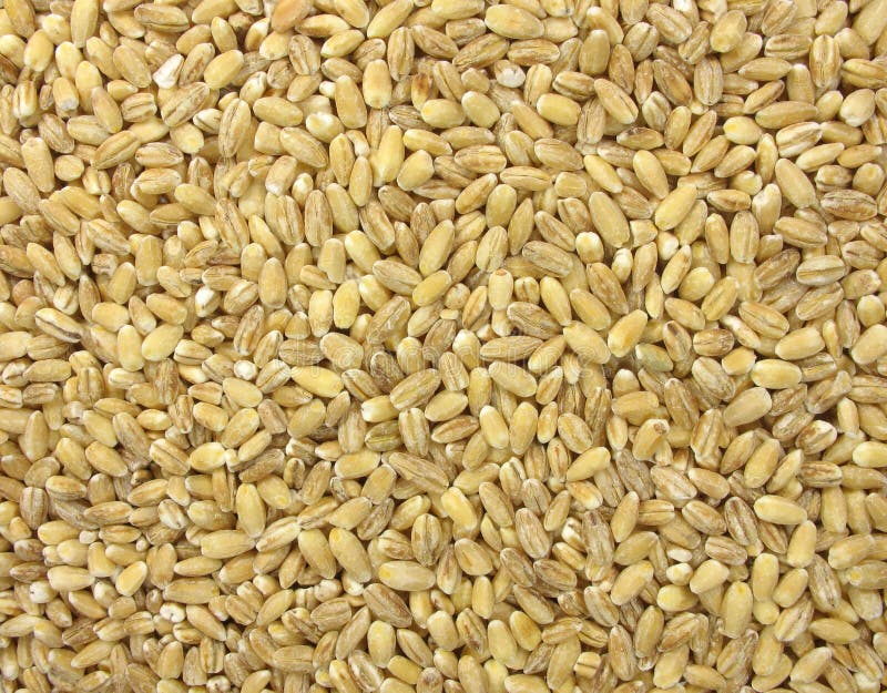 Texture de blé photo stock. Image du nature, fermer, alimentation - 3619286