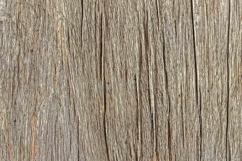 Textures de teck, fond photo stock. Image du grunge, brun - 39882954