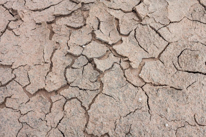 Textures of the dry soil. stock photo. Image of bare - 121464080