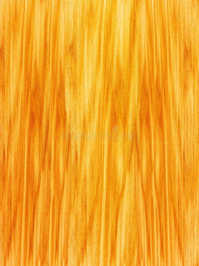 Textures el arce del árbol imagen de archivo. Imagen de texturas - 10804427