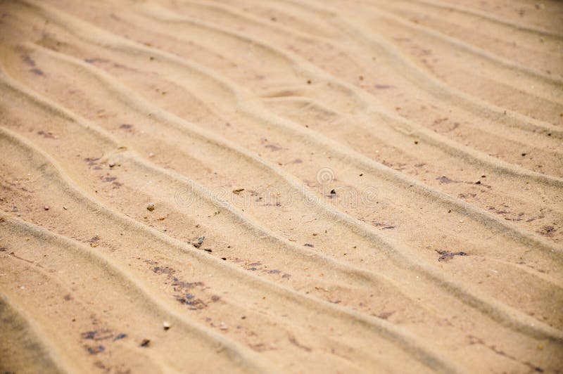 Textures of Lines in the Sand on the Beach, Caused by the Waves Stock ...
