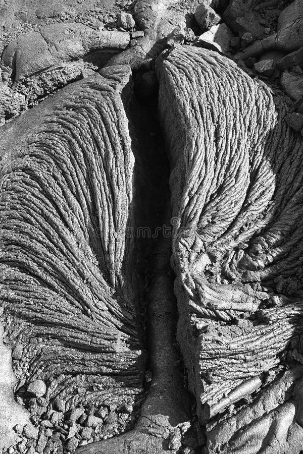 487 Hawaii Textures Stock Photos - Free & Royalty-Free Stock Photos ...