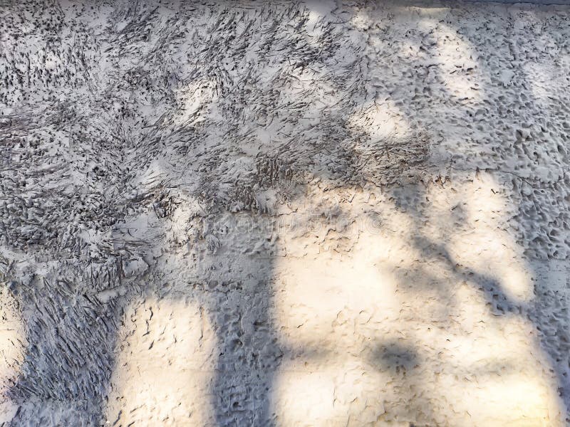 Textures of Nature Blending with Soft Shadows on a Wall during ...