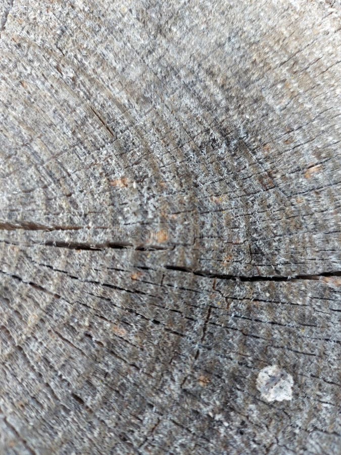 Different Textures Macro Images Stock Photo - Image of wild, macro ...