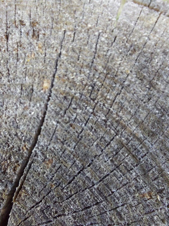 Different Textures Macro Images Stock Image - Image of natural ...