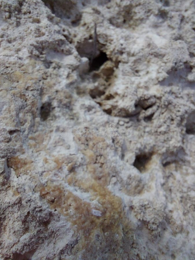 Different Textures Macro Images Stock Image - Image of vera ...