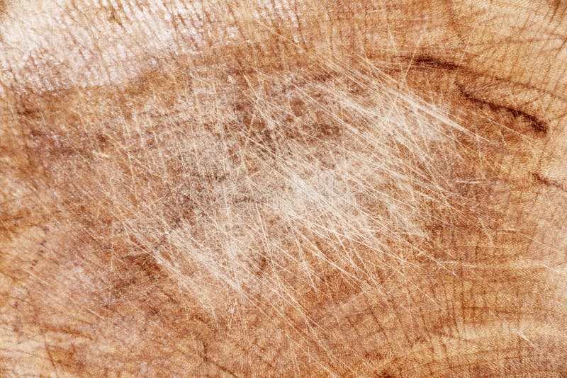 Textures and Patterns of Brown Wood with Scratch Marks are Used for ...