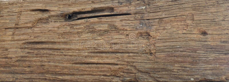 Textures and Patterns of Old Wood Stock Photo - Image of backdrop ...