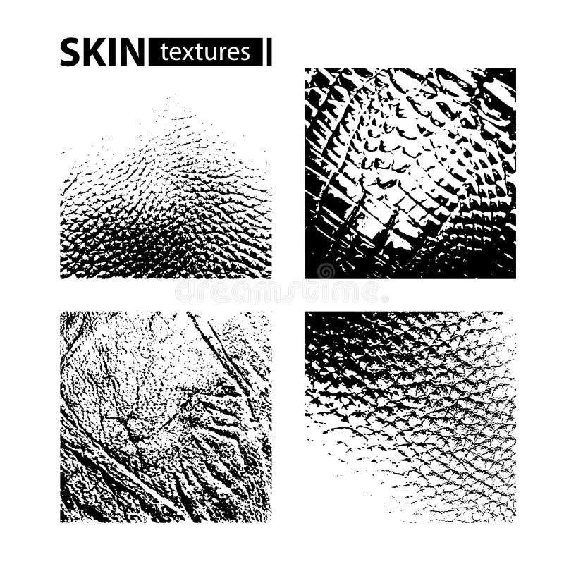 Wrinkle Skin Textures Stock Illustrations – 4 Wrinkle Skin Textures ...