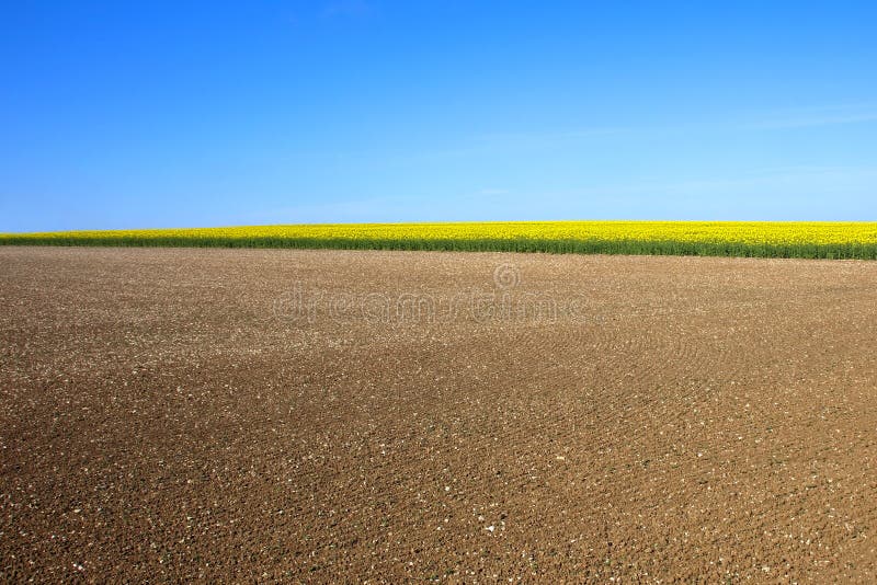 Textures and Shapes in a Landscape Stock Photo - Image of green ...