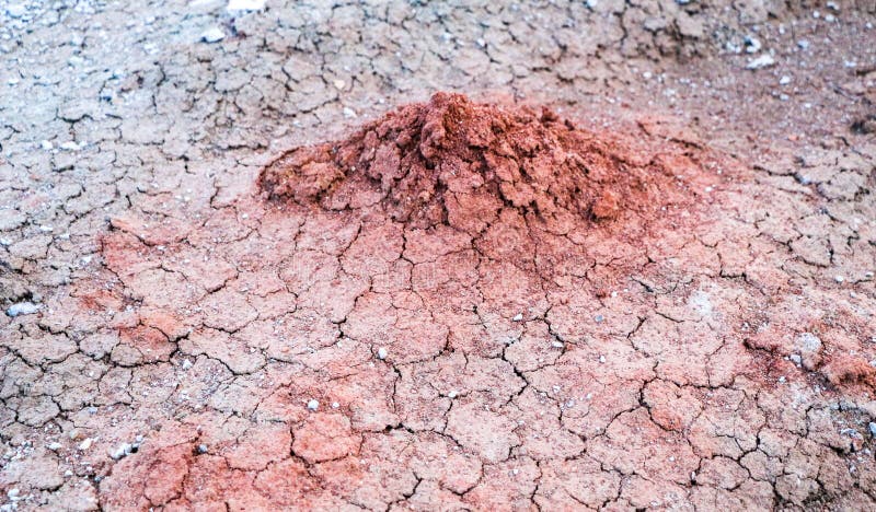 Textures of Various Clay Layers Underground in Clay Quarry after ...