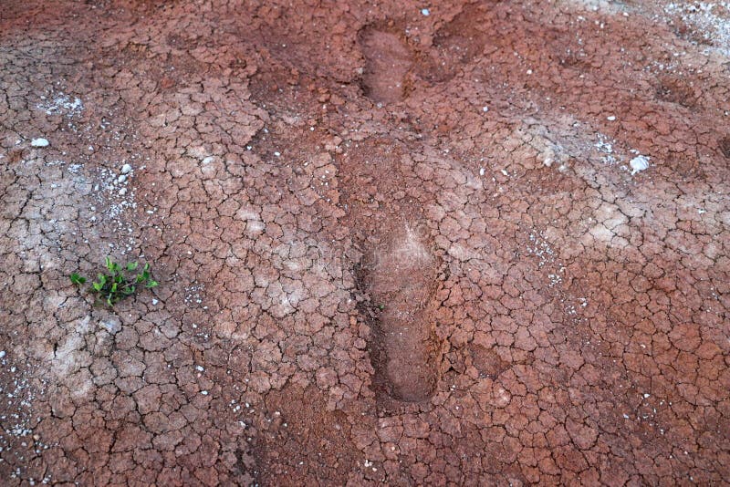 Textures of Various Clay Layers Underground in Clay Quarry after ...