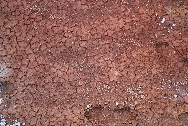 Textures of Various Clay Layers Underground in Clay Quarry after ...