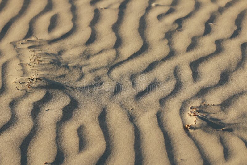 Textures of Wind Blown Natural Patterns in the Sand Dunes on a Sunny ...