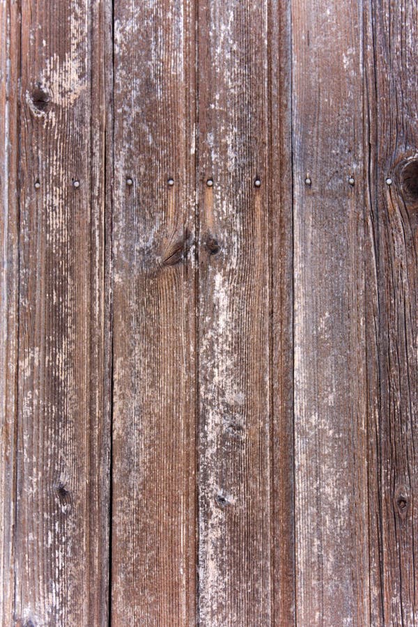 Larch wood stock photo. Image of timber, weathered, larch - 35550902