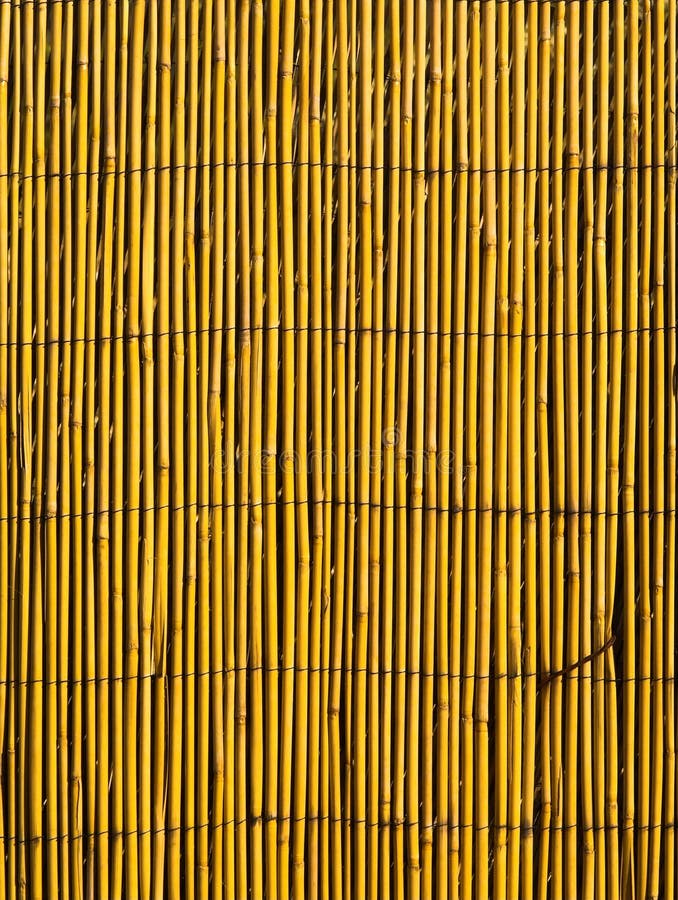 Textuur stock afbeelding. Image of riet, bescherming, bamboe - 1503305