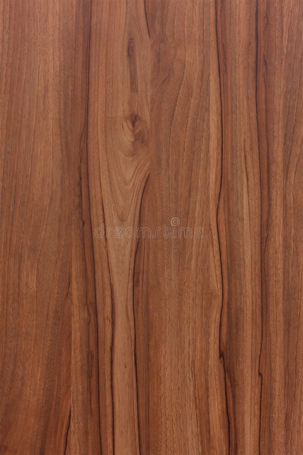 Textuur van echt hout stock foto. Image of korrel, cellulose - 1430084