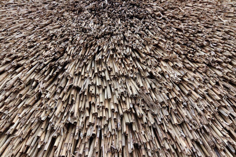 Textuur van het rietdak stock afbeelding. Image of textuur - 114335007
