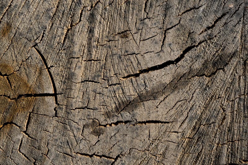 Textuur van oud hout stock afbeelding. Image of rustic - 155735391