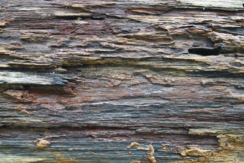 Textuur Van Oud Ruw Hout Op De Raad Stock Afbeelding - Image of ...