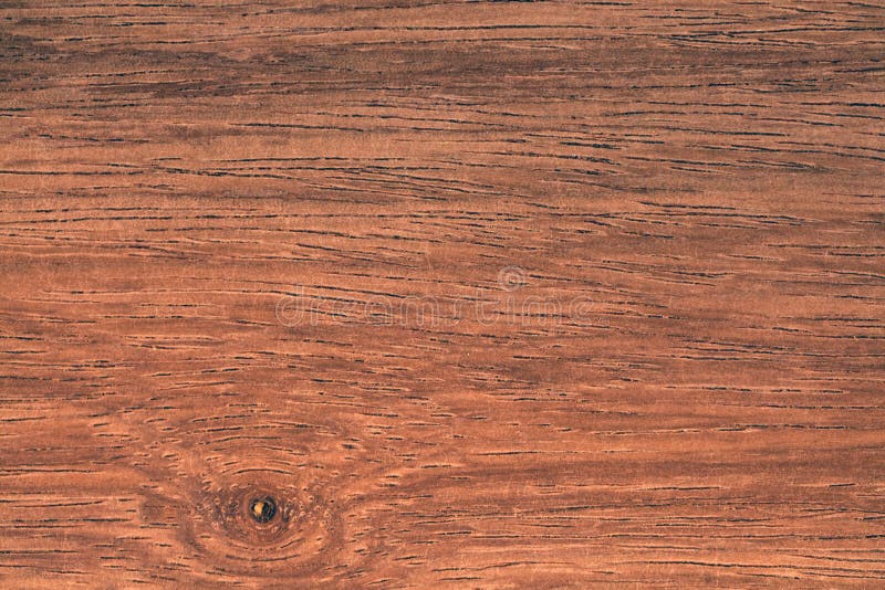 Textuur van tropisch hout stock foto. Image of meer, horizontaal - 14182554