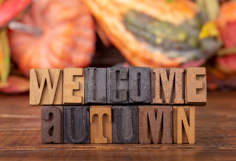 Bienvenue Automne Ours Mignon Et Feuilles Pastel Caricature Papier ...