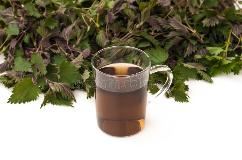Thé d'ortie image stock. Image du copie, médicinal, ingrédient - 25640821
