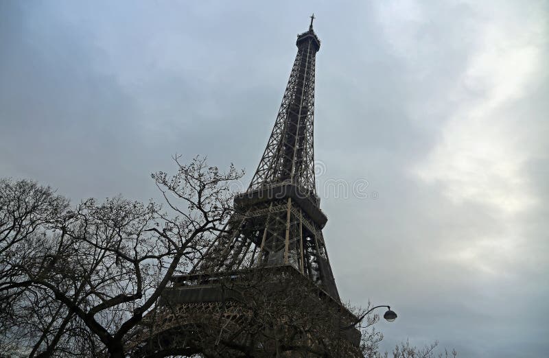 The Tower and Trees - Eiffel Tower (Tour Eiffel) Stock Photo - Image of ...