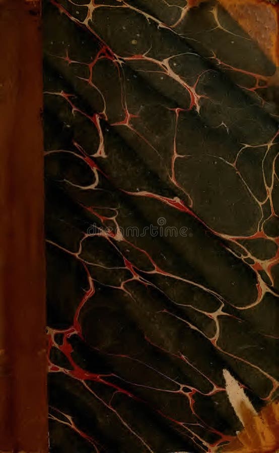 19th Century Vintage Antique Marbled Book Cover Stock Illustration ...