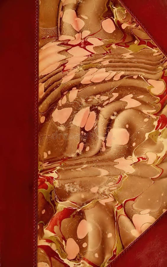 19th Century Vintage Antique Marbled Book Cover Stock Illustration ...