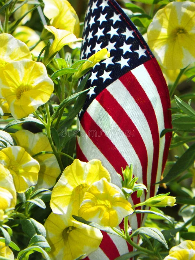 4th of July Flowers and Flag Stock Image - Image of independence ...