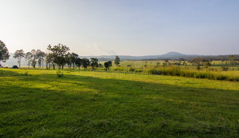 Tha plain of Thailand stock image. Image of season, plains - 39897325