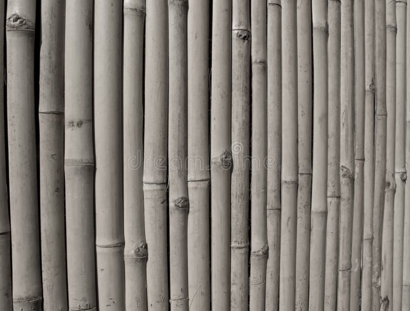 Thai bamboo fence stock image. Image of gardening, beautiful - 50733619