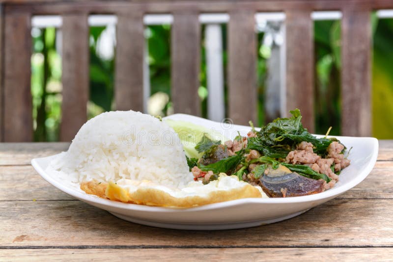Thai basil pork with rice stock image. Image of lunch - 43806099