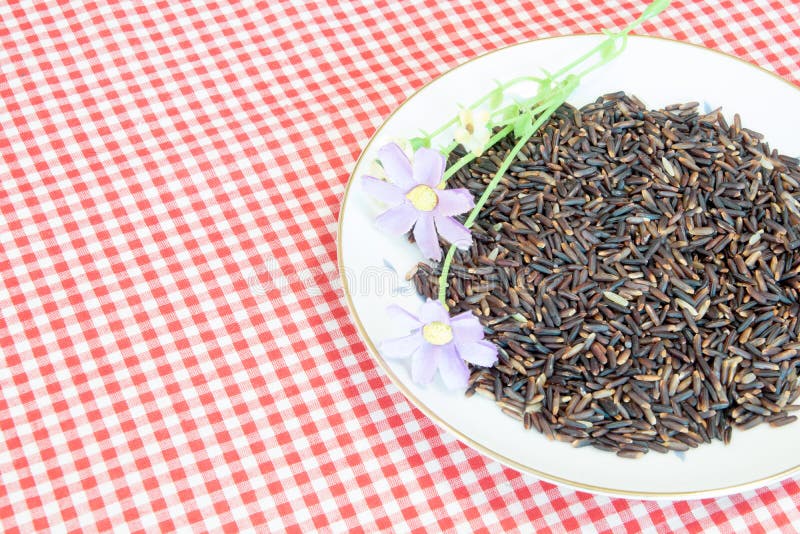 Thai Berry rice stock image. Image of rice, crop, feed - 53986299
