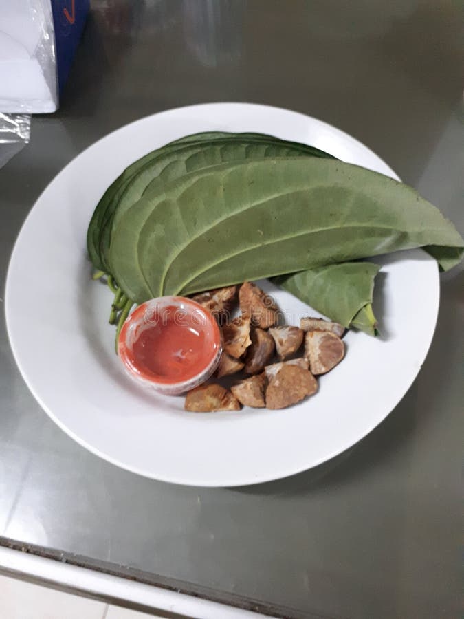 Thai betel nut stock image. Image of thai, oldman, snack - 118472299