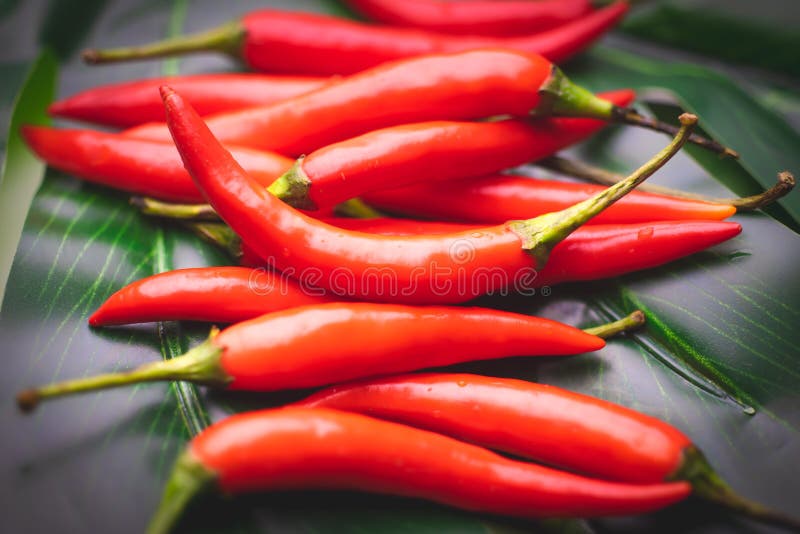 Thai Yellow Chilli Long , Thai Chili Pepper is Very Hot and Flavorful ...
