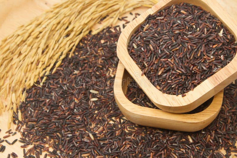 Thai Black Jasmine Rice (Rice Berry) Stock Image - Image of black ...