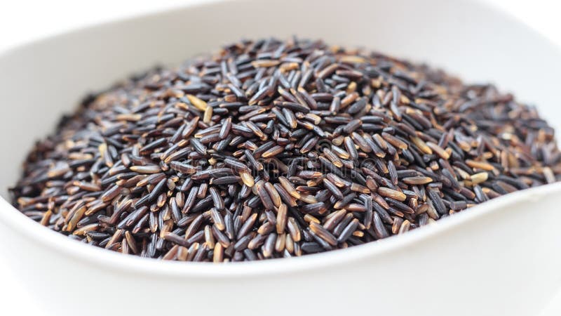 Thai black rice stock photo. Image of isolation, protein - 56008602